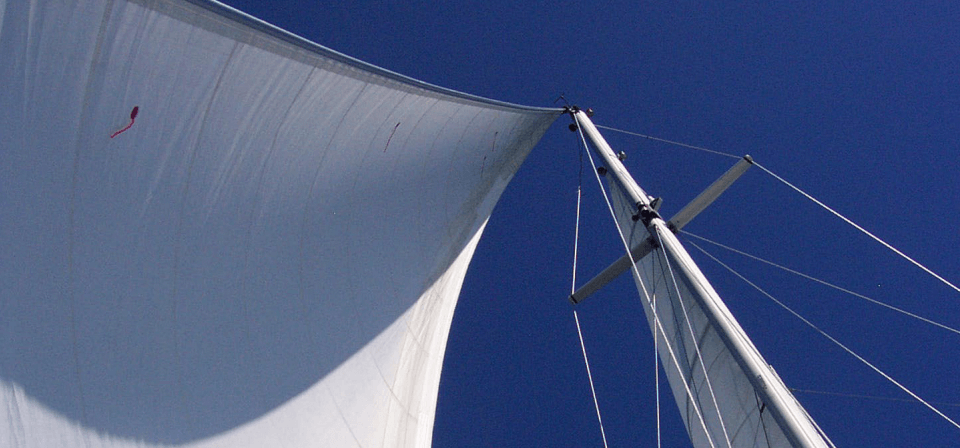Navis sets sail with SymphonyAI enterprise IT solutions - Case Studies